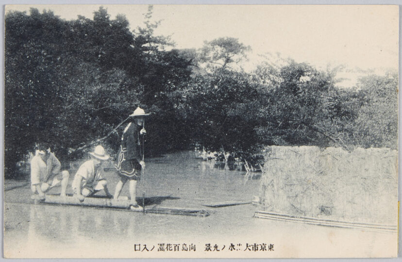 東京市大出水ノ光景 向島百花園ノ入口 | ToMuCo - Tokyo Museum Collection