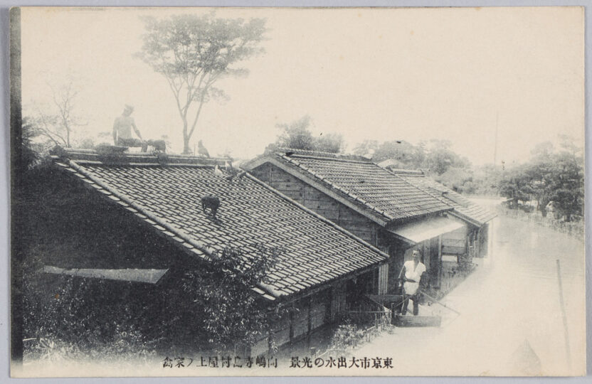 東京市大出水ノ光景向嶋寺島村屋上・家禽 | ToMuCo - Tokyo Museum Collection
